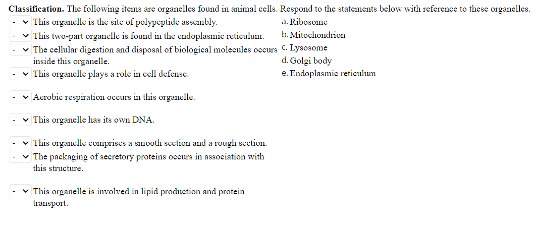 Solved Classification. The following items are organelles | Chegg.com