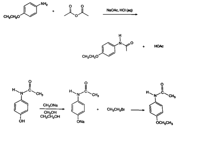 Solved Illustrate the reaction mechanism for the amid | Chegg.com
