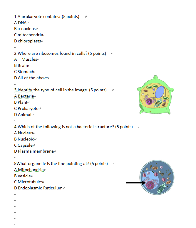 Solved 1 A prokaryote contains: (5 points) A DNA Ba nucleus | Chegg.com
