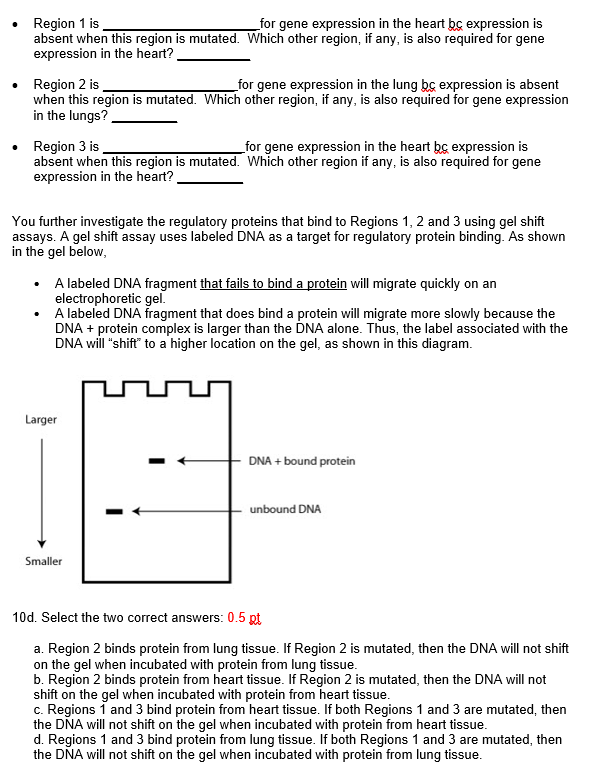 Solved 5. What is an interchromatin compartment? 0.5 nt a | Chegg.com