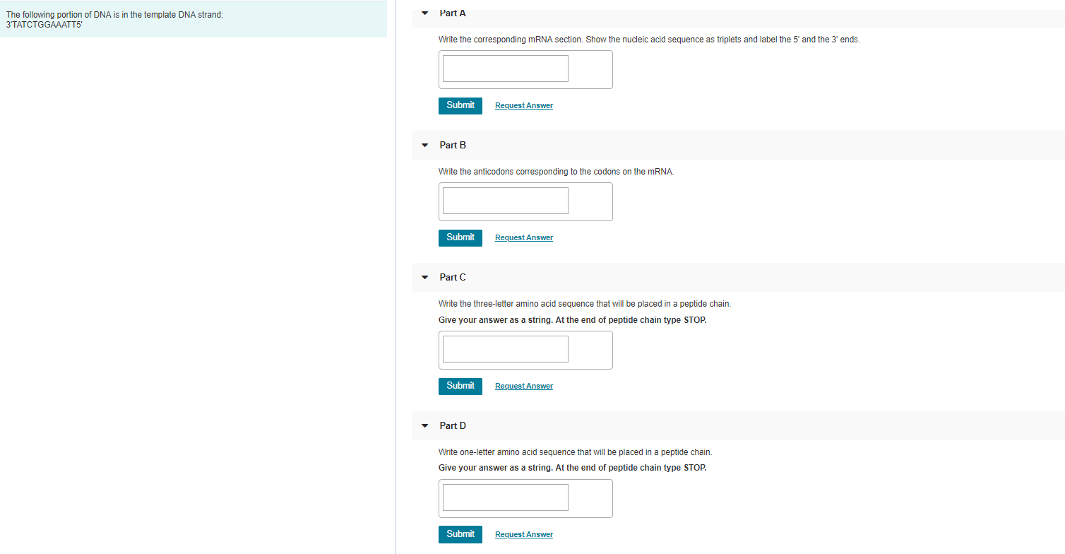 Solved Part A The following portion of DNA is in the | Chegg.com