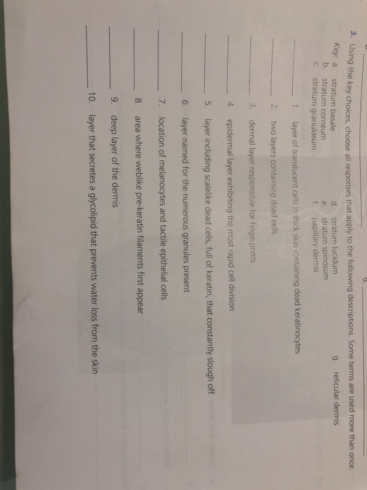 Solved Using the key choices, choose all responses that | Chegg.com