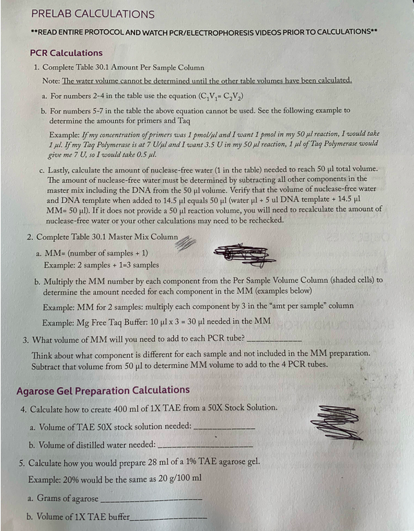 Solved PRELAB CALCULATIONS **READ ENTIRE PROTOCOL AND WATCH | Chegg.com