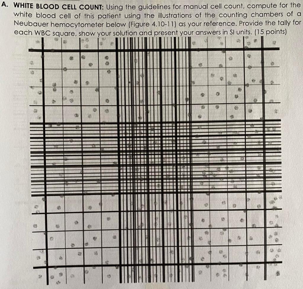 Solved A WHITE BLOOD CELL COUNT Using The Guidelines For Chegg