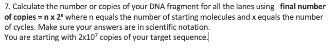 Solved 7. Calculate the number or copies of your DNA | Chegg.com