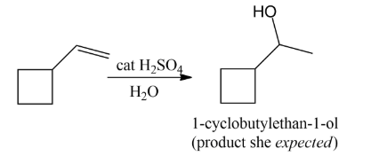 Solved An inexperienced student adds a solution of catalytic | Chegg.com