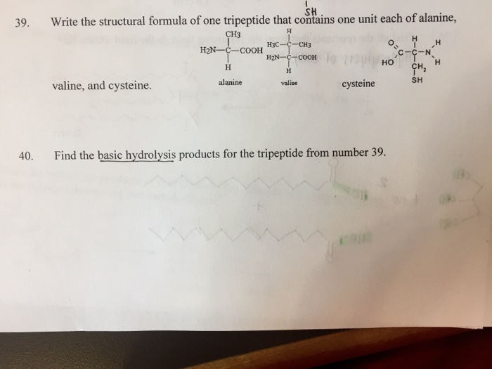 Solved SH 39. Write the structural formula of one tripeptide | Chegg.com