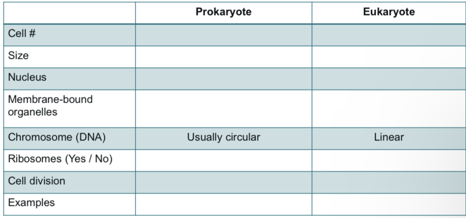 Solved \begin{tabular}{|l|l|l|} \hline & | Chegg.com