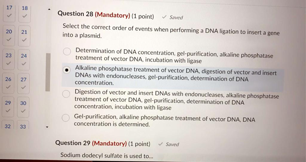 Solved 18 v 19 20 21 Question 25 (Mandatory) (1 point) | Chegg.com