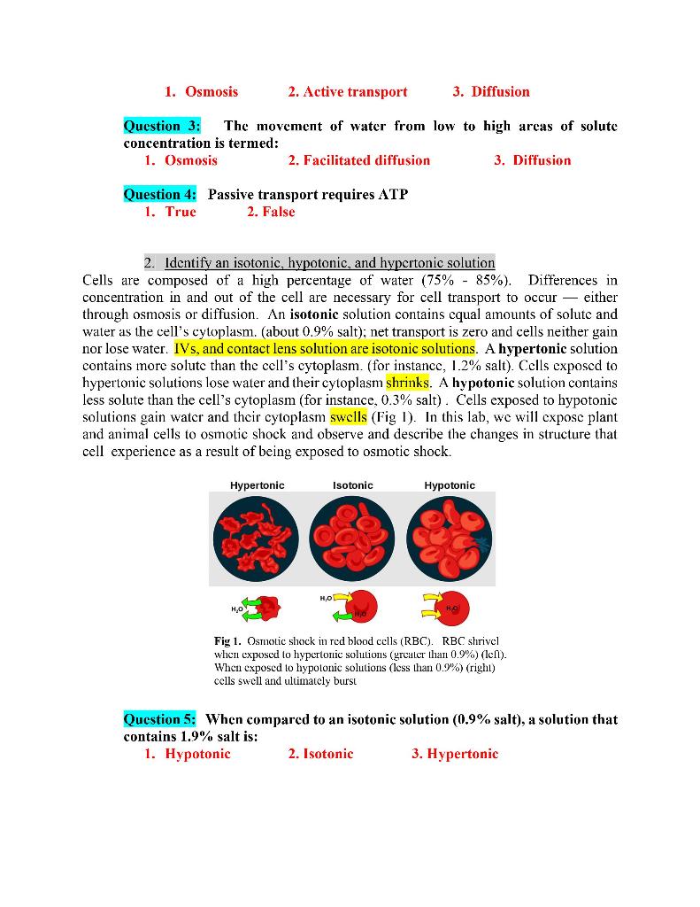 Solved SUMMER BIOLOGY 181 Lab 6: Cell Transport | Chegg.com