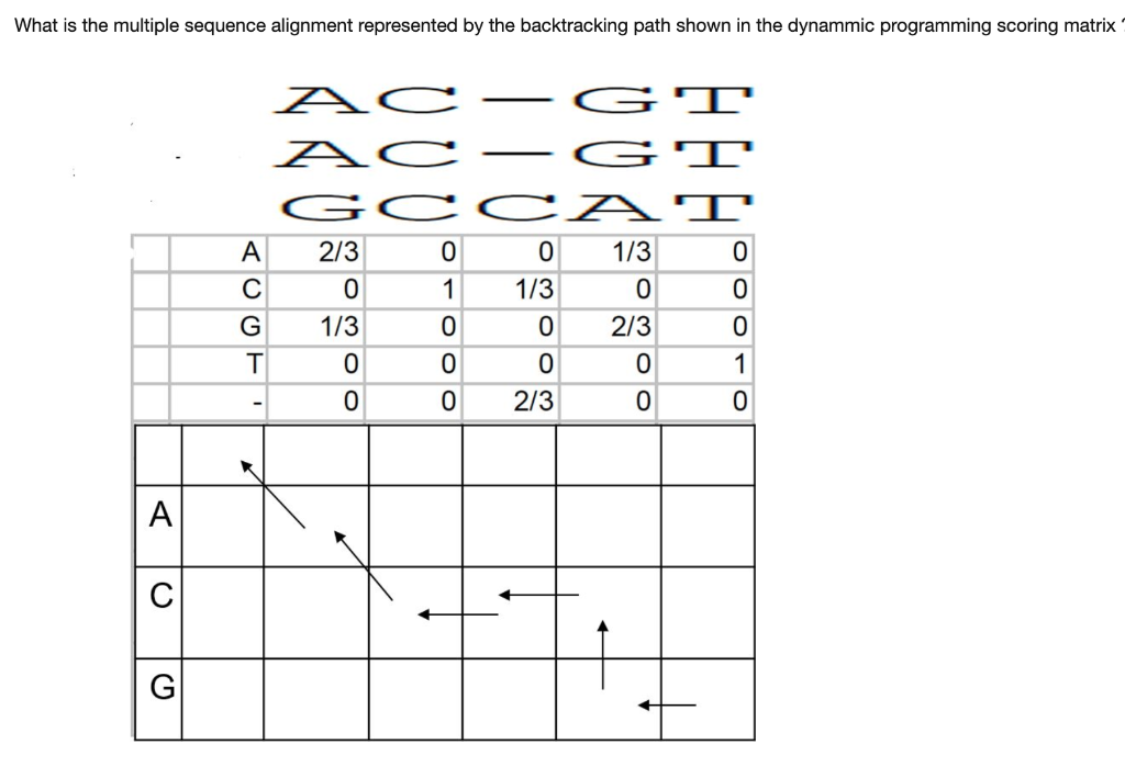 Solved What Is The Multiple Sequence Alignment Represented 