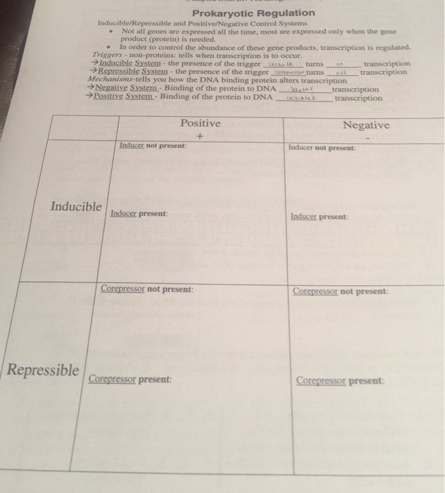 Solved Prokaryotic Regulation Inducible/Repressible and | Chegg.com
