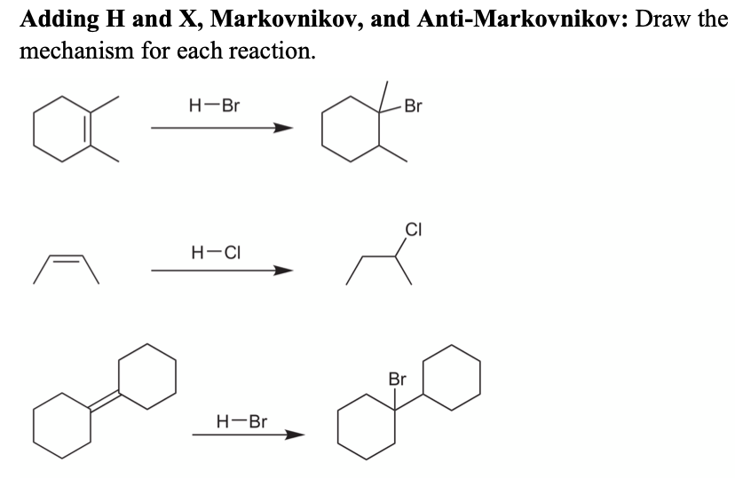 Solved Adding H and X, Markovnikov, and Anti-Markovnikov: | Chegg.com