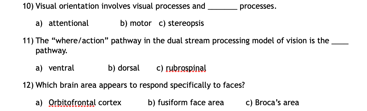 Solved 10) Visual orientation involves visual processes and | Chegg.com