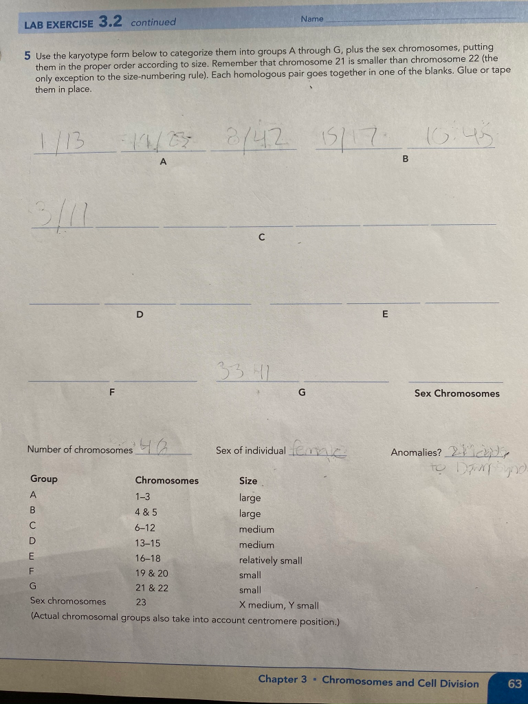 Solved Name LAB EXERCISE 3.2 continued 5 Use the karyotype | Chegg.com