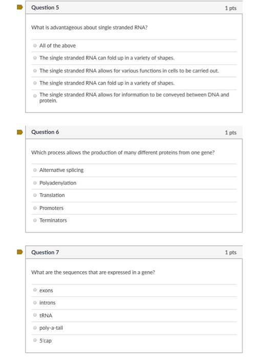 Solved Question 3 1 pts In what ways does transcription | Chegg.com