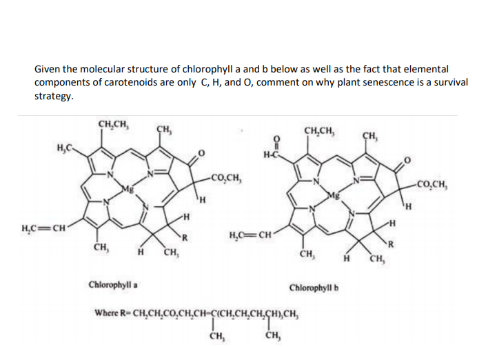 Solved Given the molecular structure of chlorophyll a and b | Chegg.com