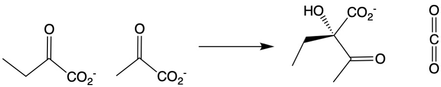 You are part of a scientific team working on a newly | Chegg.com