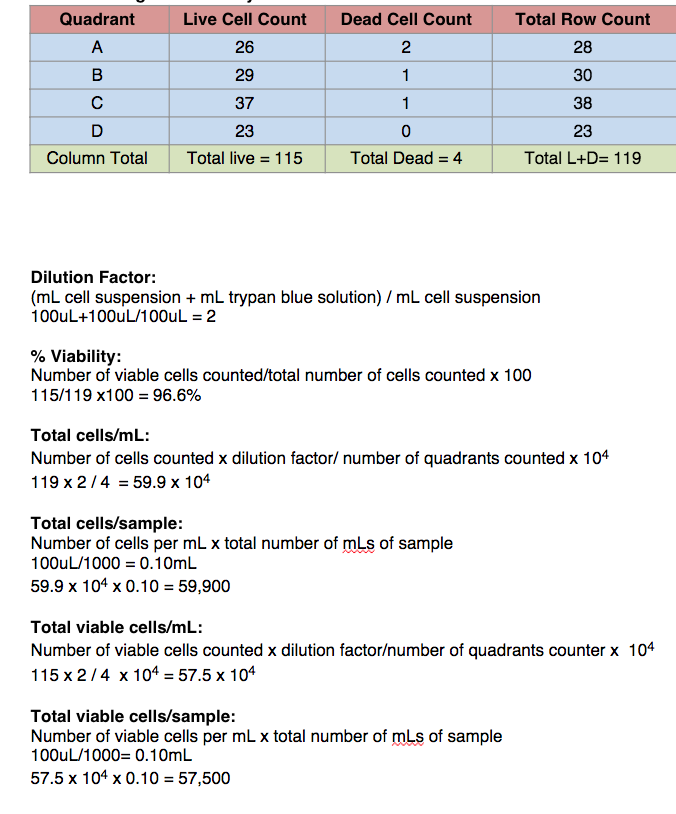 Solved Can you please answer the last question titled “Final | Chegg.com
