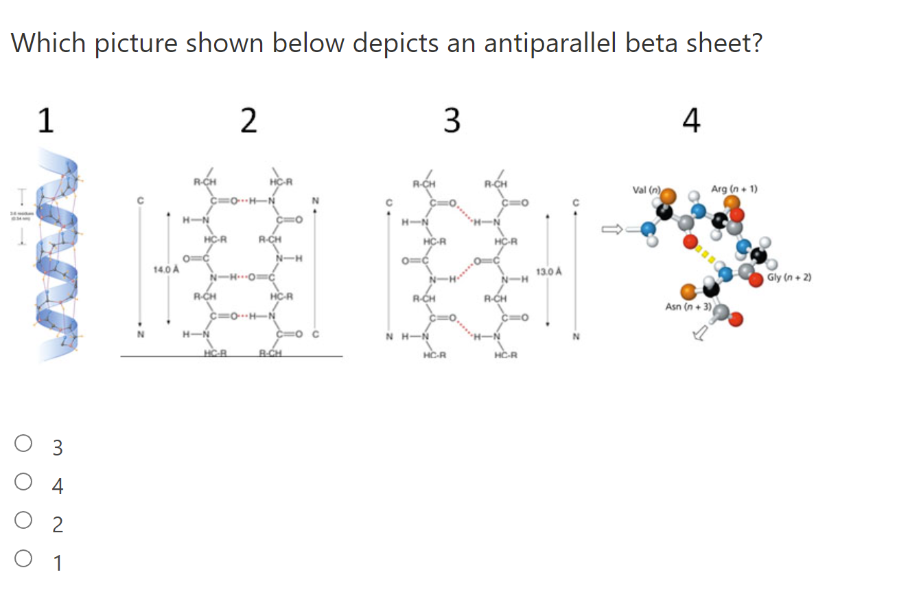 Solved Which picture shown below depicts an antiparallel | Chegg.com