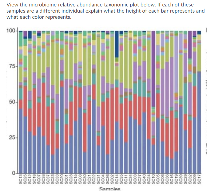 Solved View the microbiome relative abundance taxonomic plot | Chegg.com