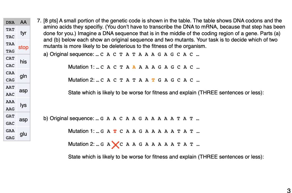 Solved DNA AA TAT tyr TAC 7. [8 pts] A small portion of the | Chegg.com
