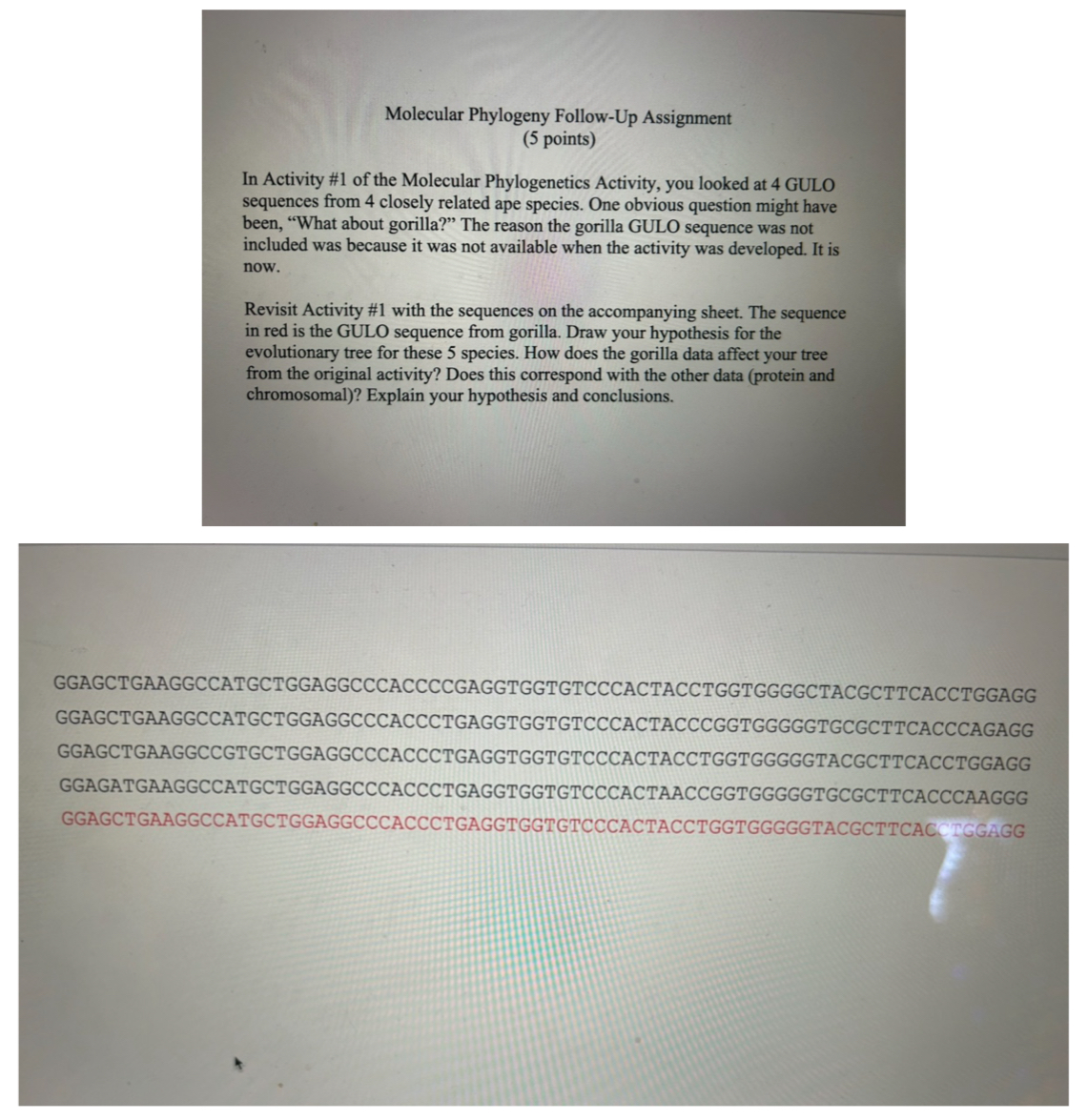 Solved Can someone please help with this?? What would the | Chegg.com