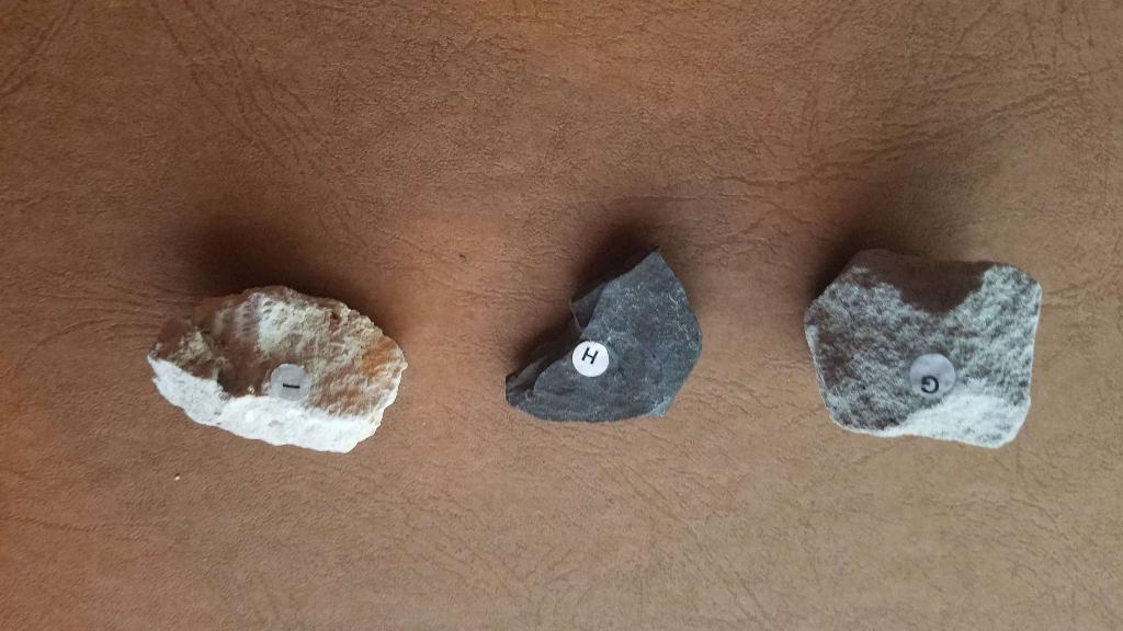Solved 1. Sample G is an example of a: a. Clastic | Chegg.com