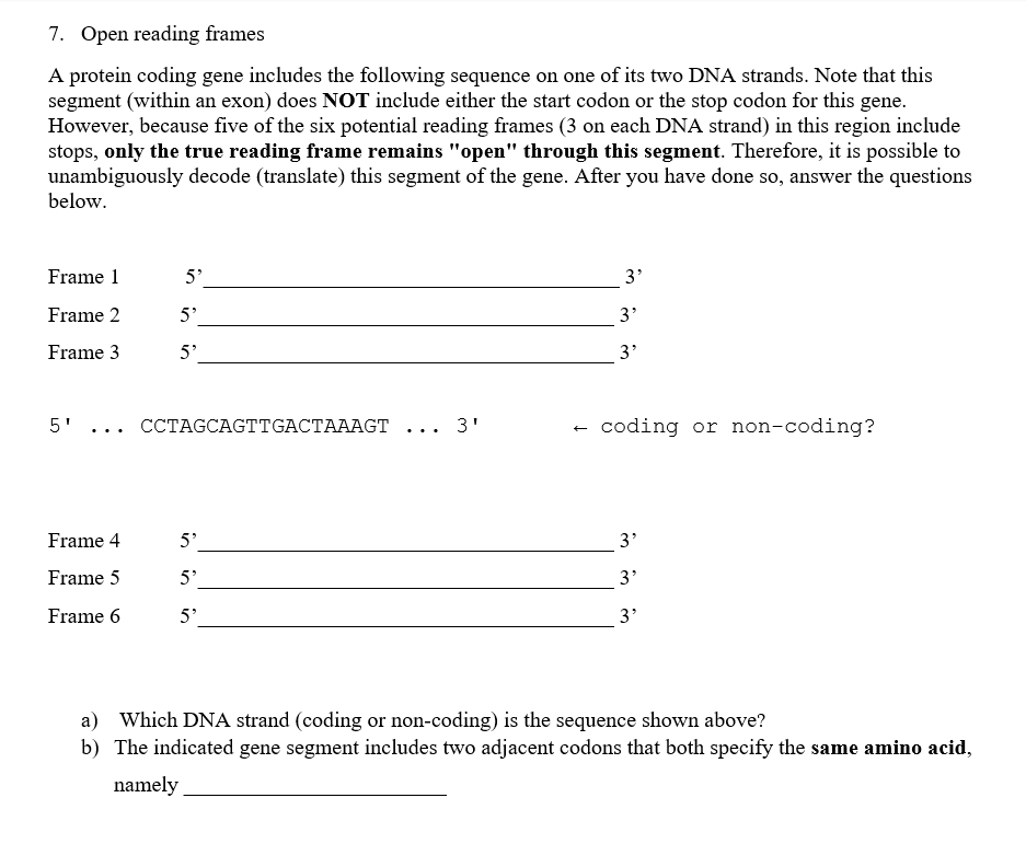 Solved 7. Open reading frames A protein coding gene includes | Chegg.com
