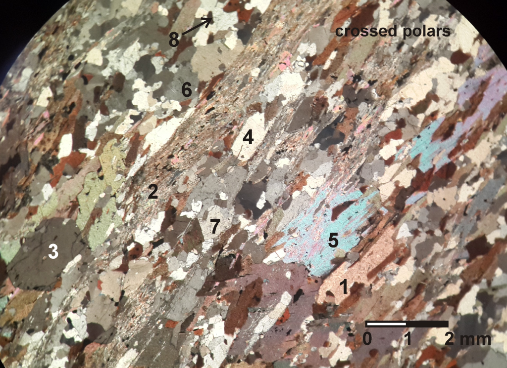 Solved I am trying to identify these metamorphic rocks thin | Chegg.com