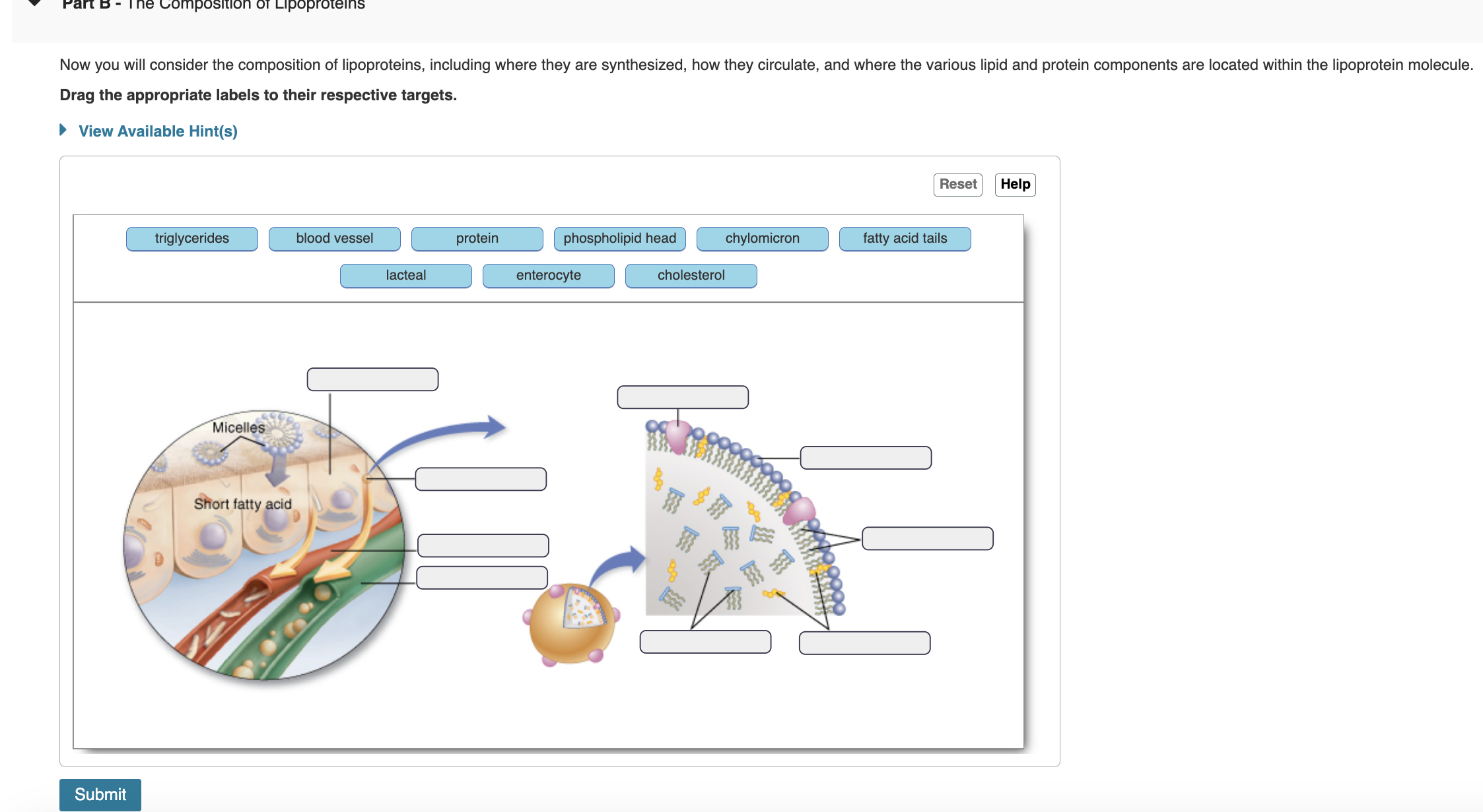 Solved Drag the appropriate labels to their respective | Chegg.com