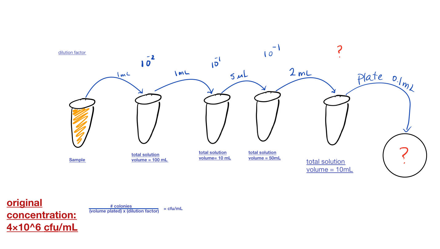 Solved I need help with this cell CFU and dilution | Chegg.com