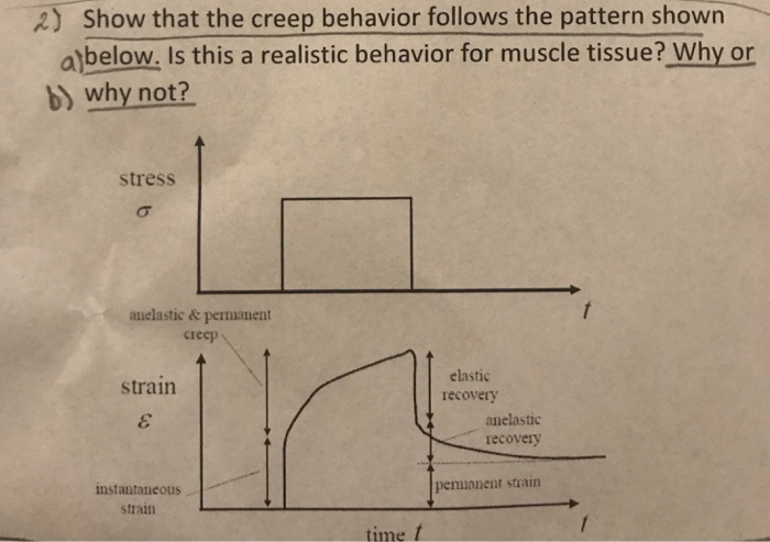 Solved 2) Show that the creep behavior follows the pattern | Chegg.com