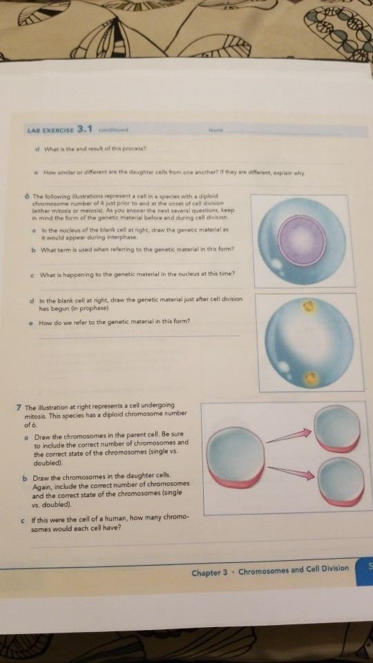 Solved how do you answer 5d, 5e, 6a thru 6e, and 7a thru 7c? | Chegg.com
