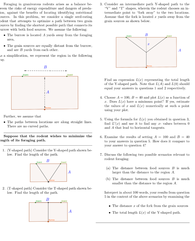 3. Consider an intermediate path Y-shaped path to the | Chegg.com
