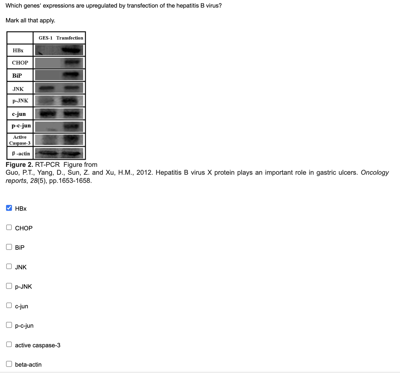 Solved Which genes' expressions are upregulated by | Chegg.com