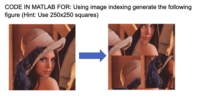 Solved CODE IN MATLAB FOR: Using image indexing generate the | Chegg.com
