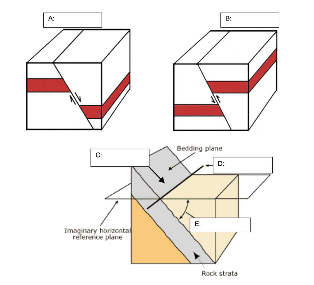 Solved A: B: 11 Bedding plane C: D: E: Imaginary horizontal | Chegg.com