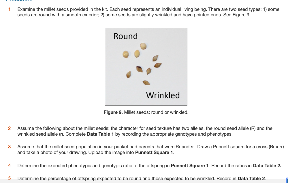 Solved UUUUUU Examine the millet seeds provided in the kit. | Chegg.com