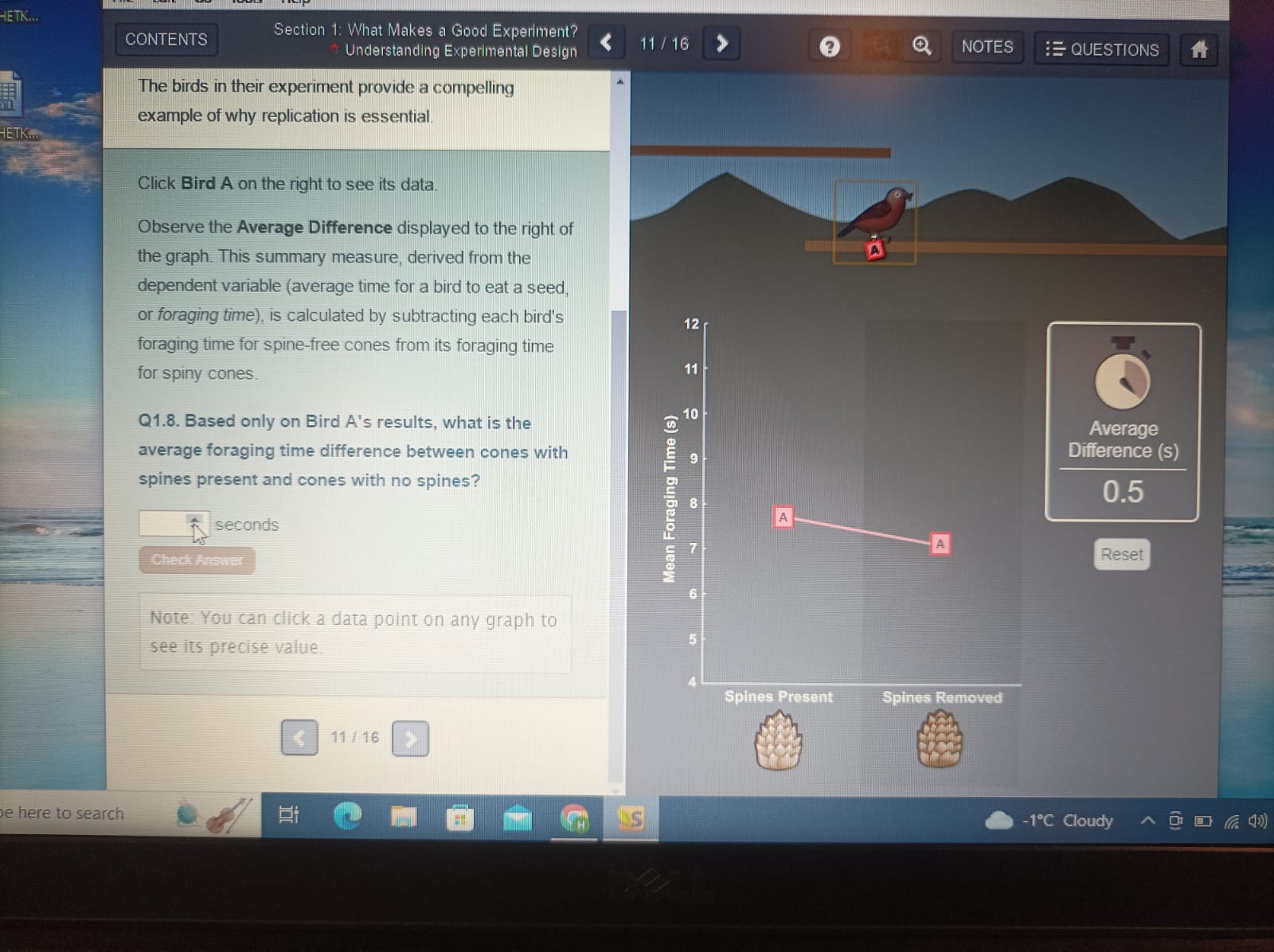 Solved The birds in their experiment provide a | Chegg.com