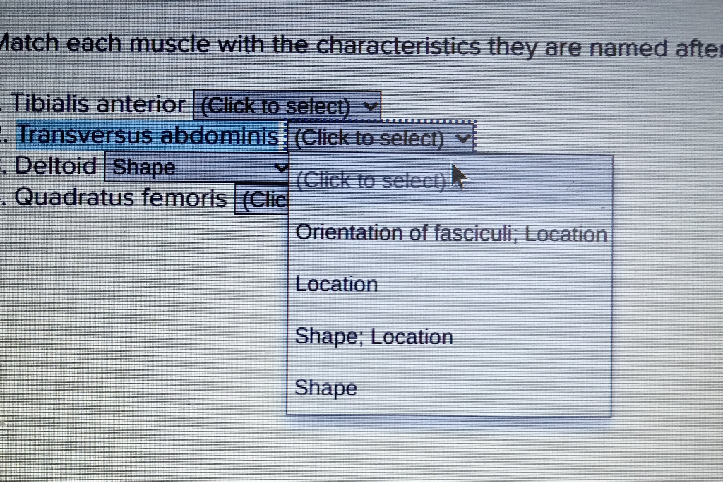 Solved Match each muscle with the characteristics they are | Chegg.com