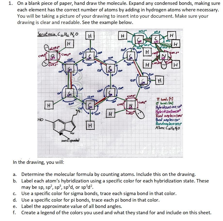 Solved 1. On a blank piece of paper, hand draw the molecule. | Chegg.com
