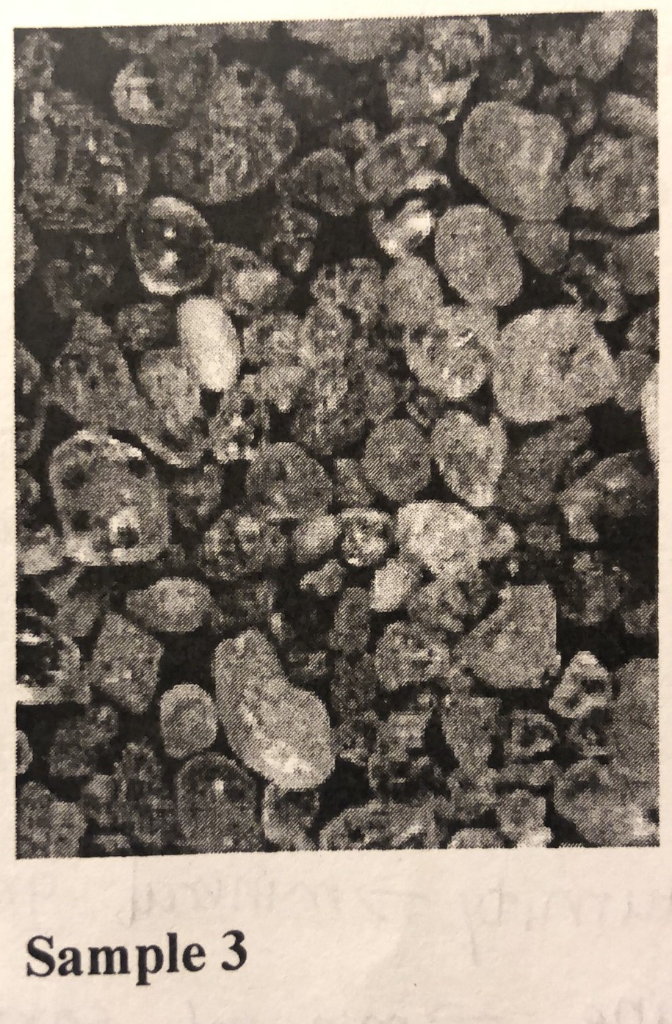 Solved 1. Classify sample 3 based on both Folk’s | Chegg.com