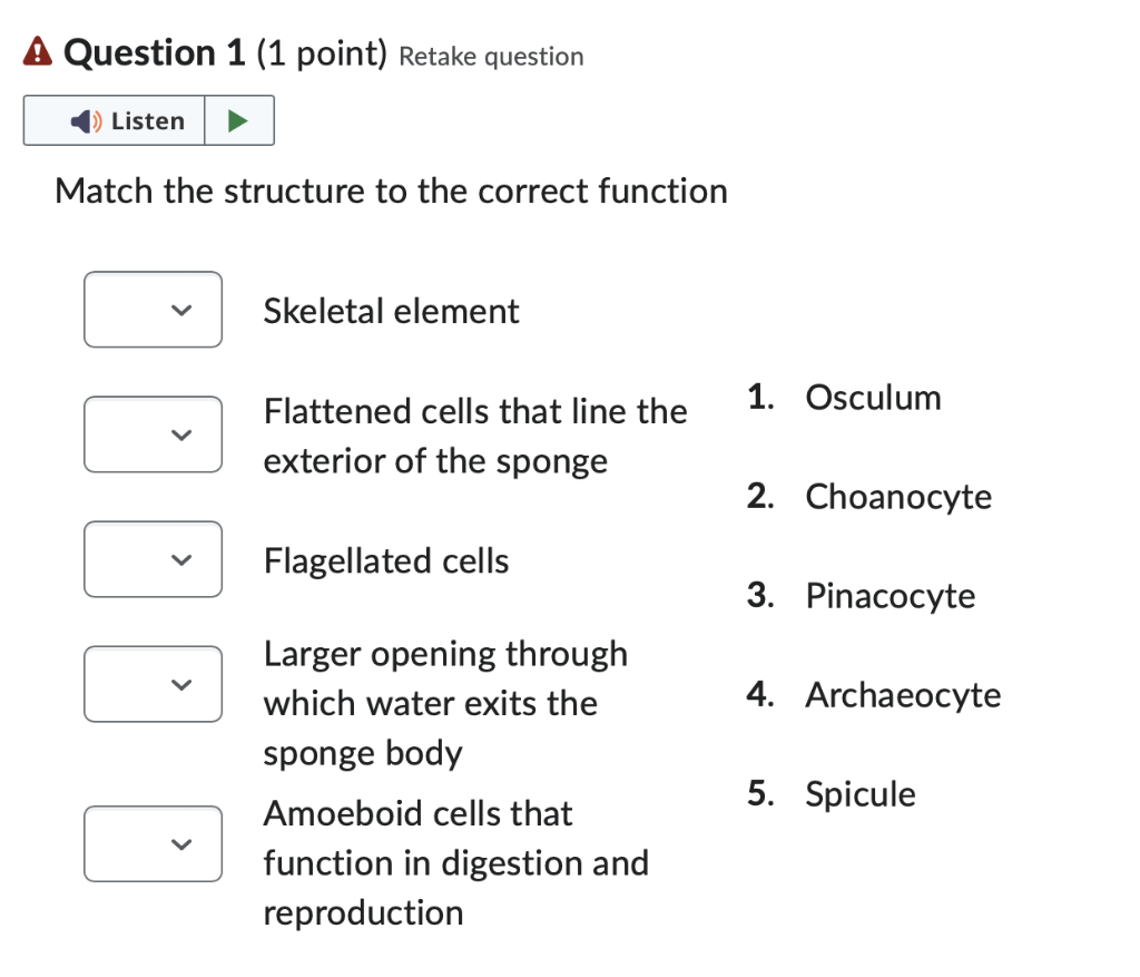 Solved A Question 1 (1 point) Retake question Match the | Chegg.com