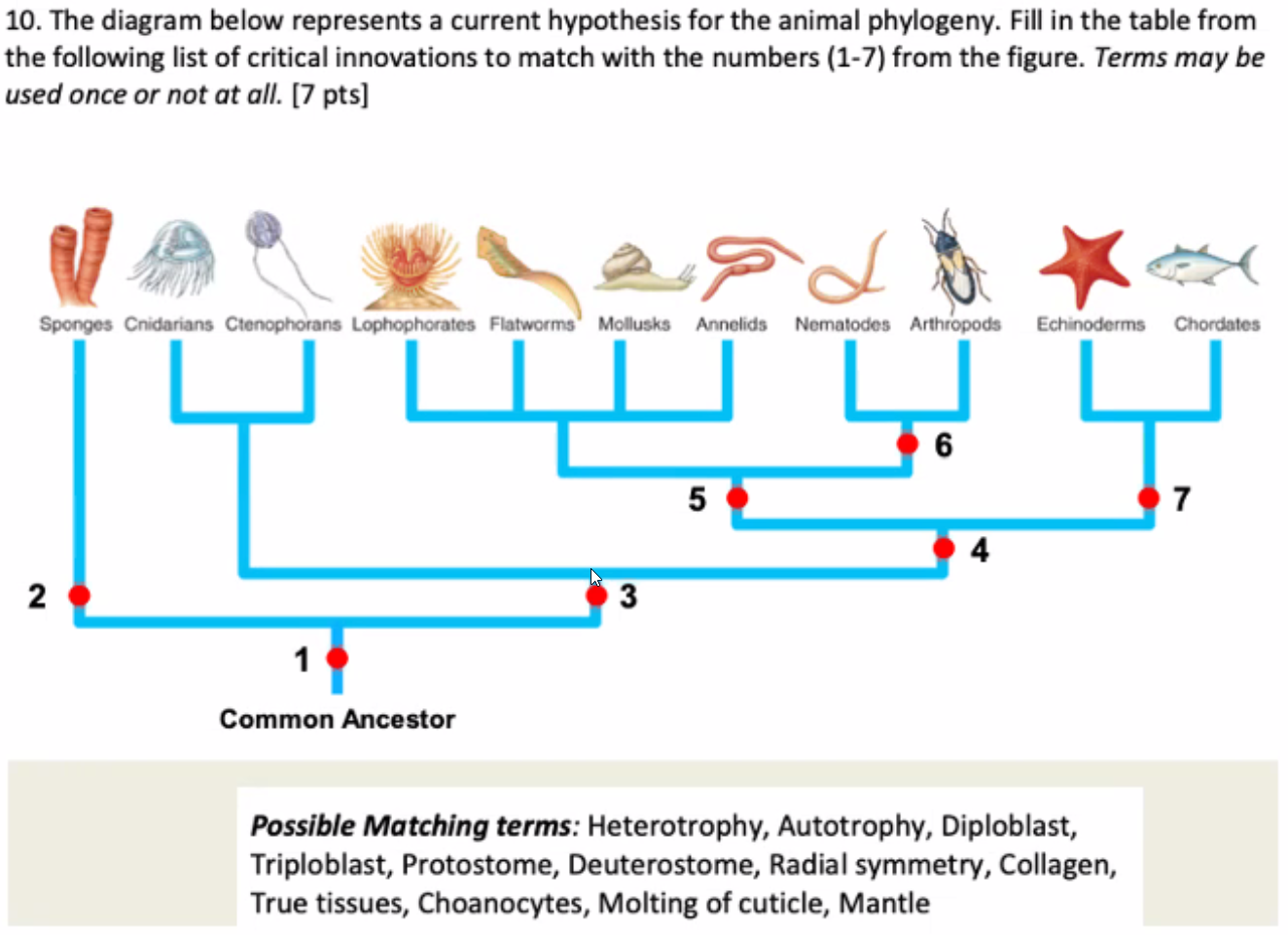 Solved 10. The diagram below represents a current hypothesis | Chegg.com