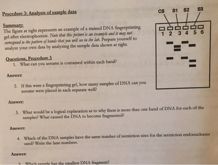 Solved Procedure 3: Analysis of sample data CS S1 S2 S3 The | Chegg.com