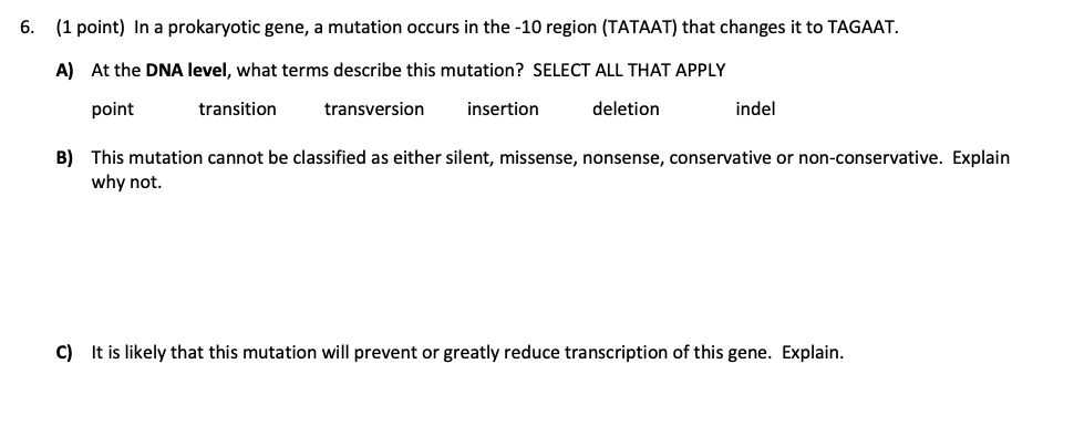 Solved 6. (1 point) In a prokaryotic gene, a mutation occurs | Chegg.com