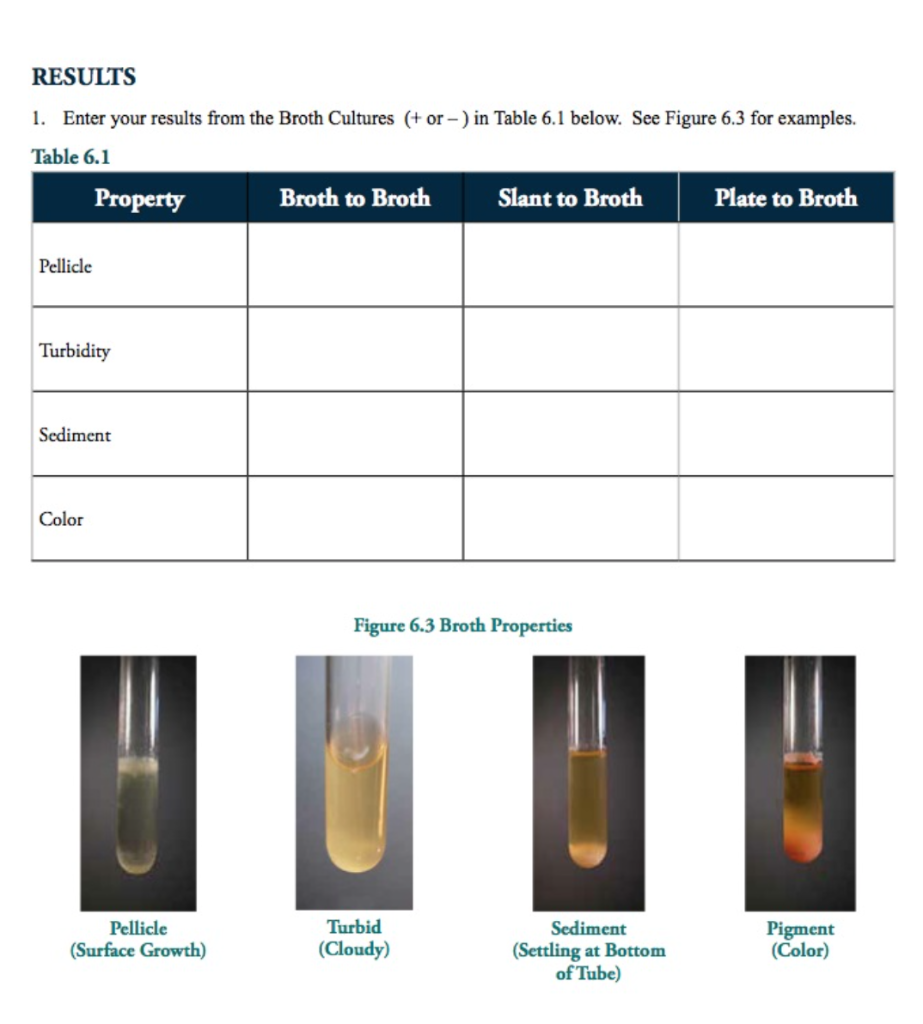 Enter your results from the Broth Cultures (+ or – ) | Chegg.com