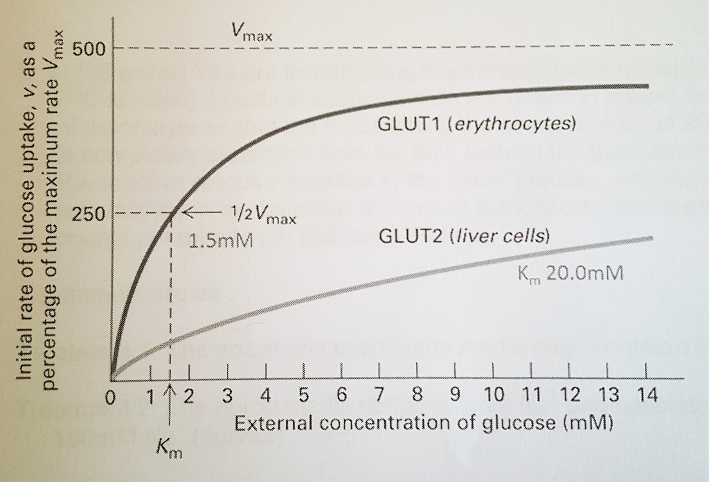 Solved Normal blood sugar level is around 5mM. The glucose | Chegg.com