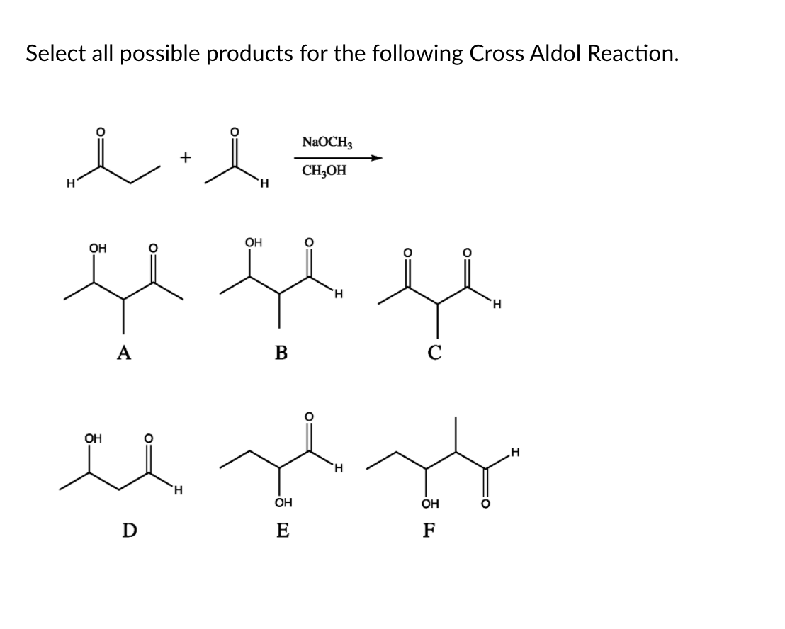Solved Select all possible products for the following Cross | Chegg.com